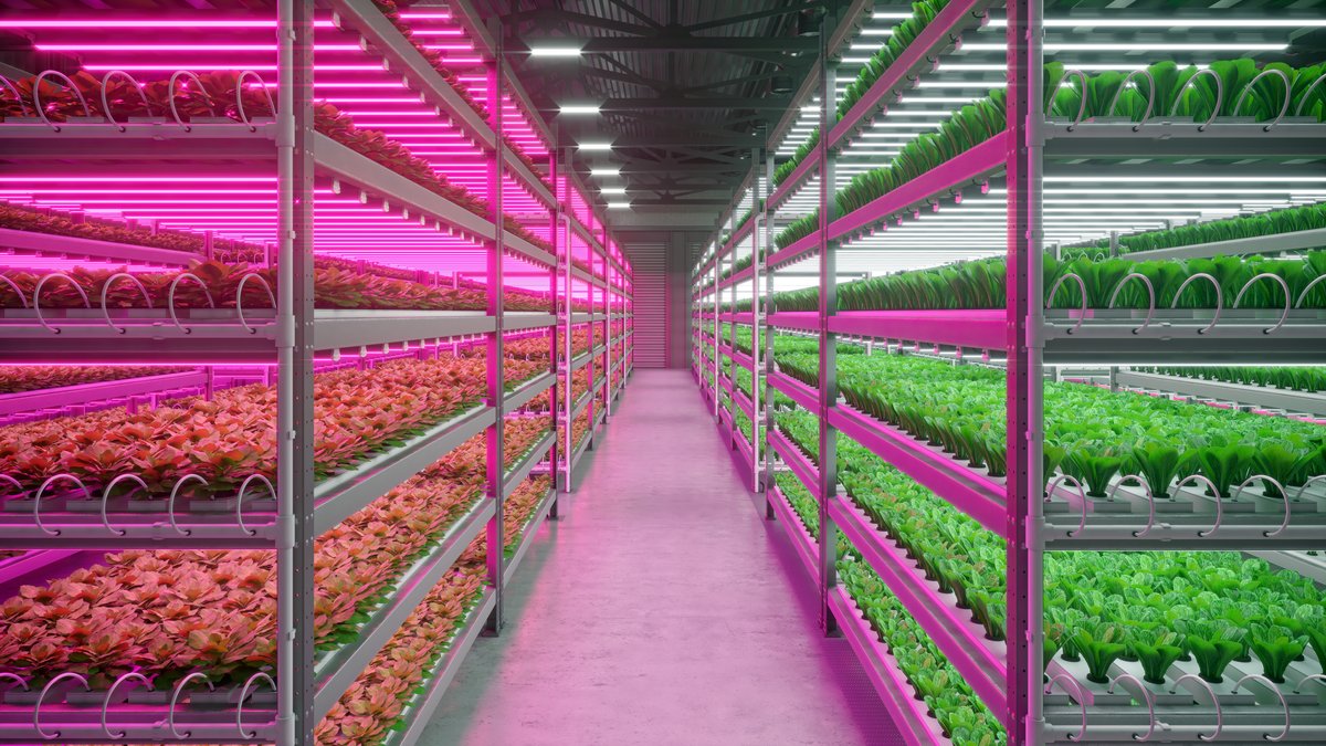 UV LEDs for UVA, UVB & UVC | Opsytec